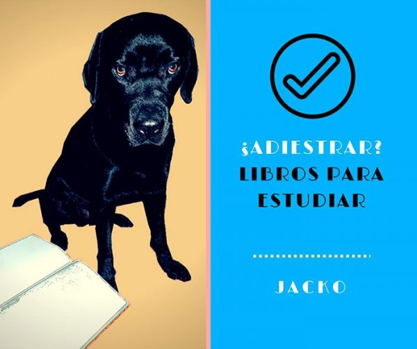Libros de Adiestramiento de Perros - Vivir con Labrador